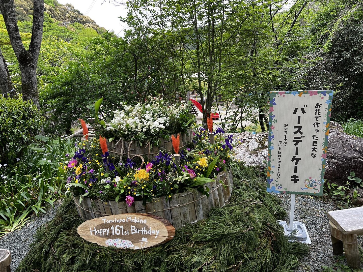 友達に誘われて昨日(4/24月)高知県佐... / mipiさんのモーメント | YAMAP / ヤマップ