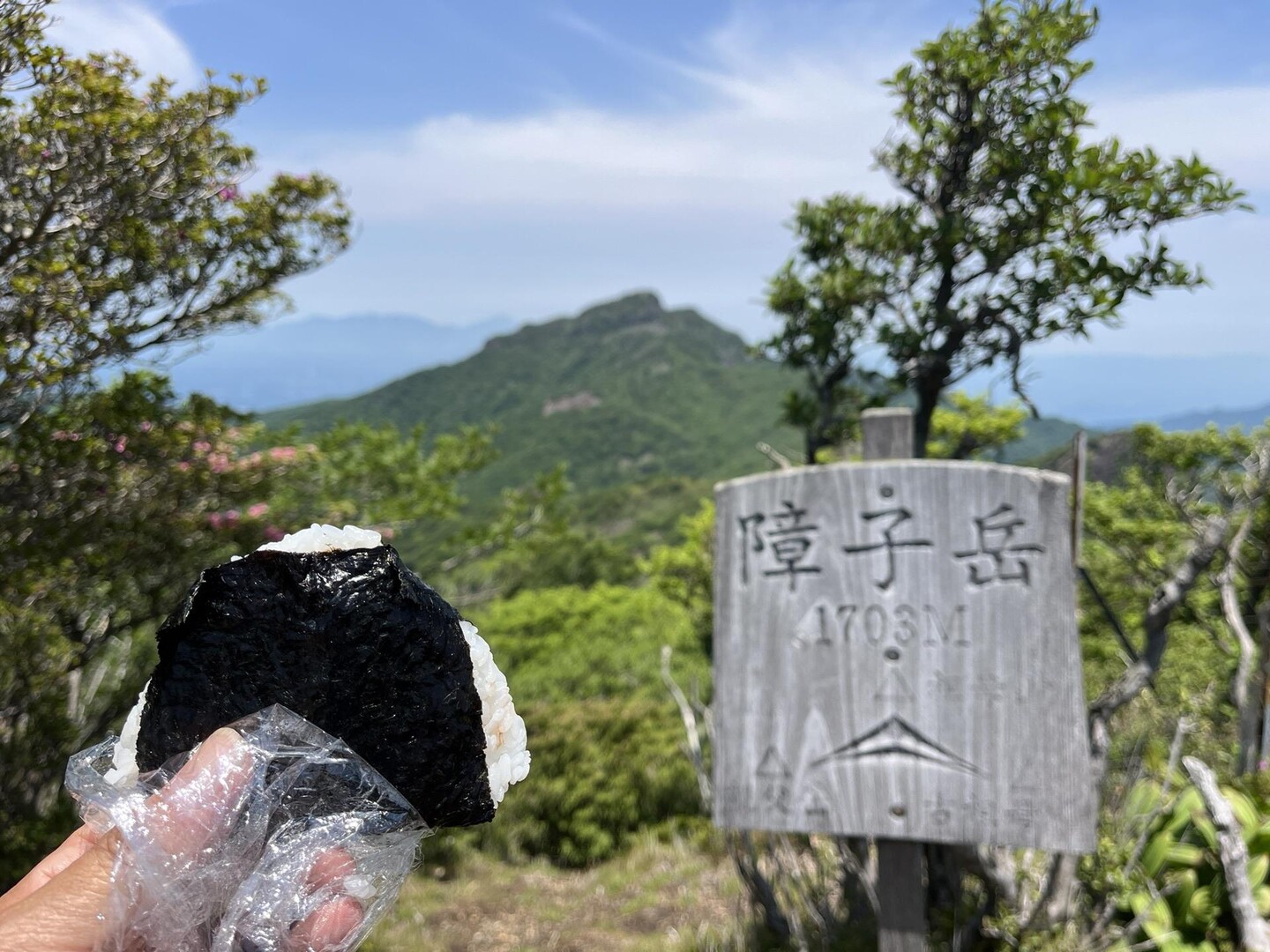 三尖・黒岳・親父山・障子岳 / MADさんの祖母山の活動日記 | YAMAP / ヤマップ