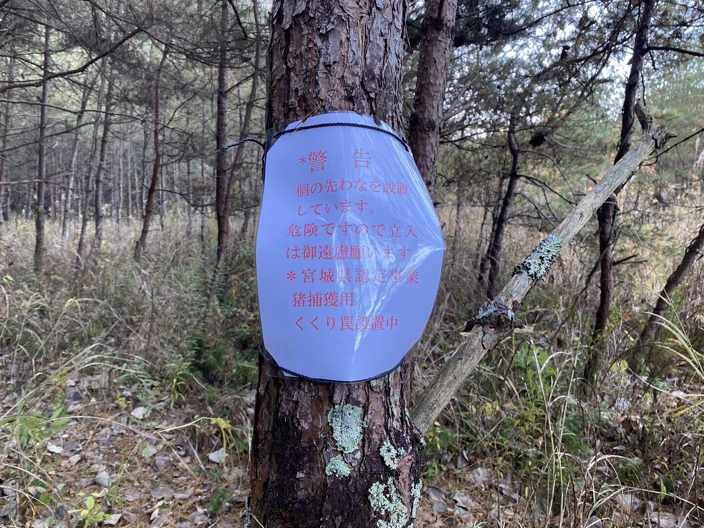 Shin5さんの投稿したフィールドメモ | YAMAP / ヤマップ