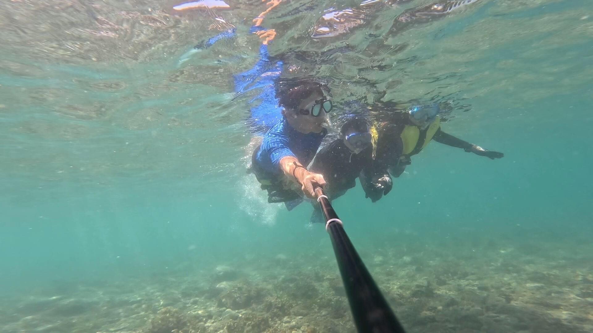 🐠SAKANAP 「田子瀬浜海岸」駿河... / issさんのモーメント | YAMAP / ヤマップ