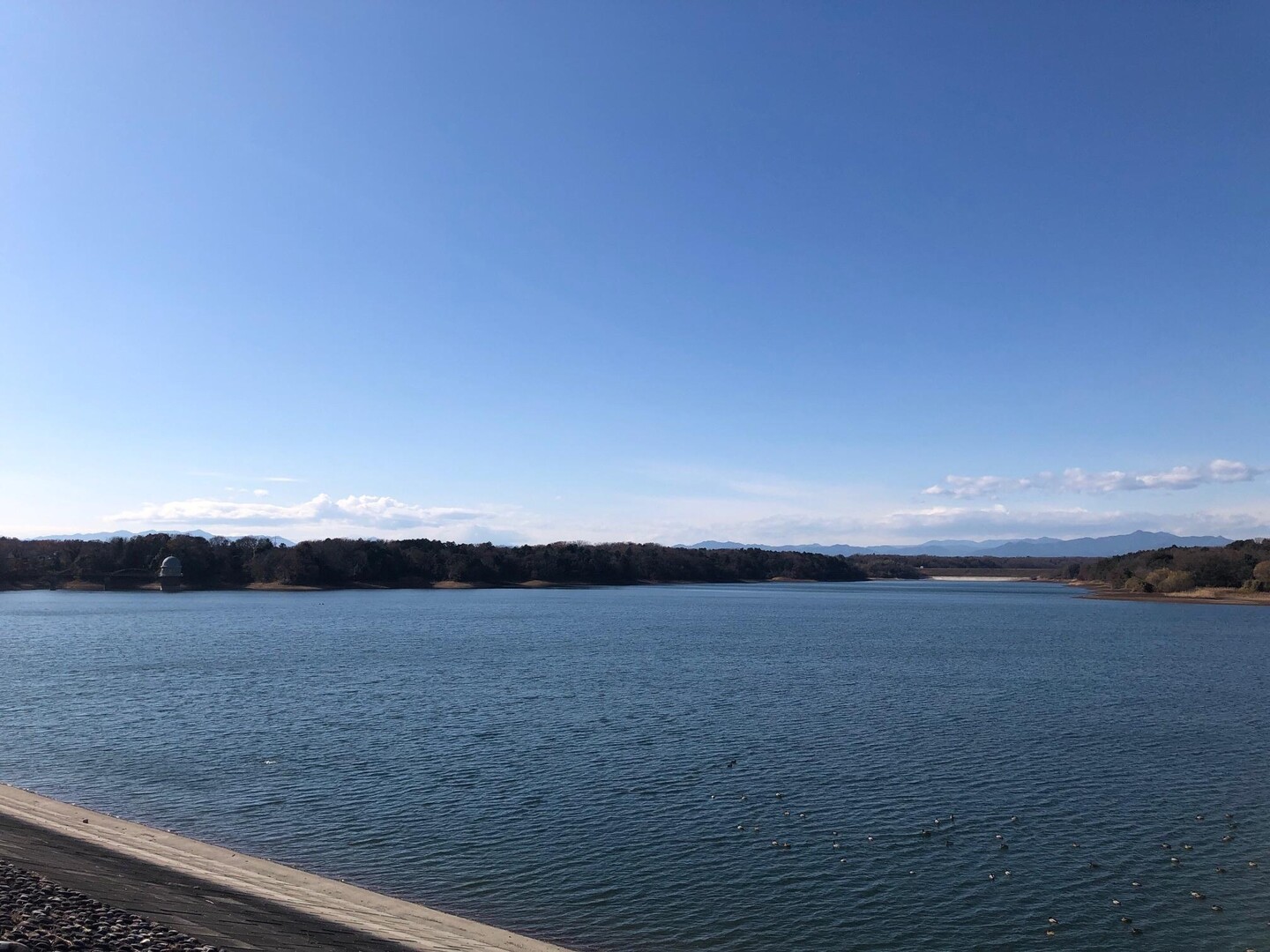 RUN / KUROさんの六道山 ・多摩湖・狭山湖の活動データ | YAMAP / ヤマップ