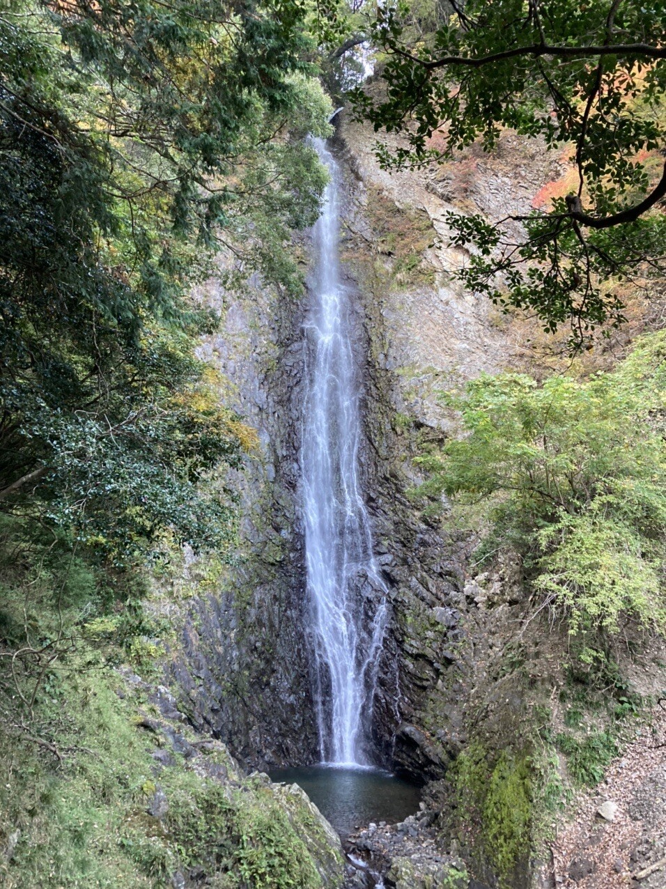 静岡県藤枝市の宇嶺の滝 落差約70mでハ... / なおさんのモーメント | YAMAP / ヤマップ