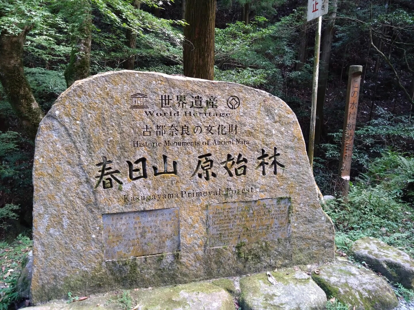 春日山原始林 / satoAさんの若草山の活動データ | YAMAP / ヤマップ