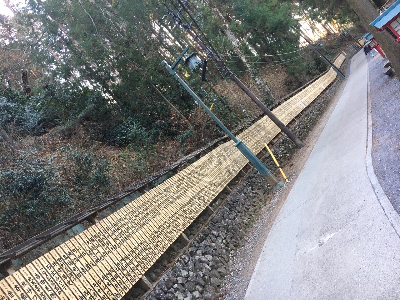 nachaさんの投稿したフィールドメモ | YAMAP / ヤマップ