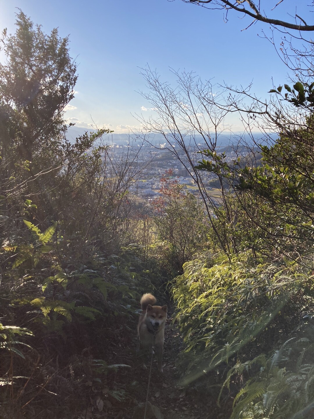 高文殊山 / HRKさんの四国遍路その18の活動データ | YAMAP / ヤマップ