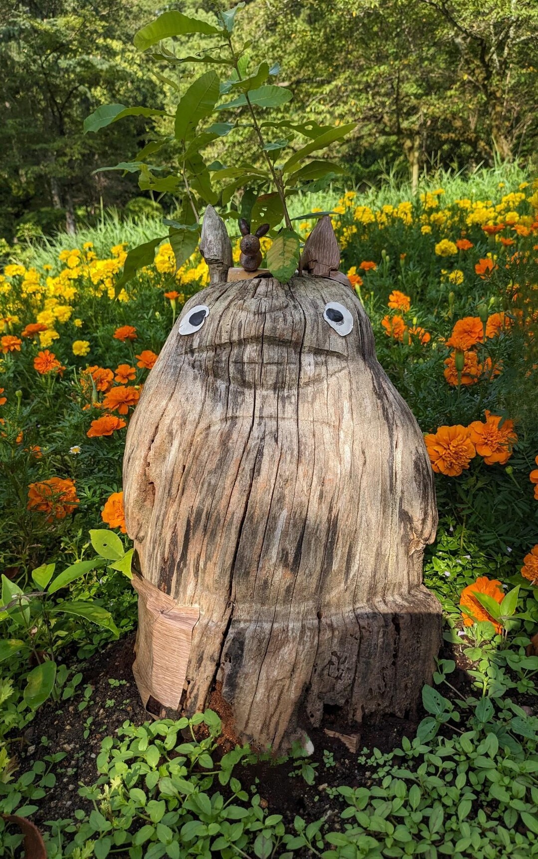 生駒花火🎇ナイトwith🟥あかいたぬきさん（タタラ山・鬼取山・生駒山） / ヒロ1970カシバ瓦口さんの生駒山・神津嶽・大原山の活動データ | YAMAP / ヤマップ