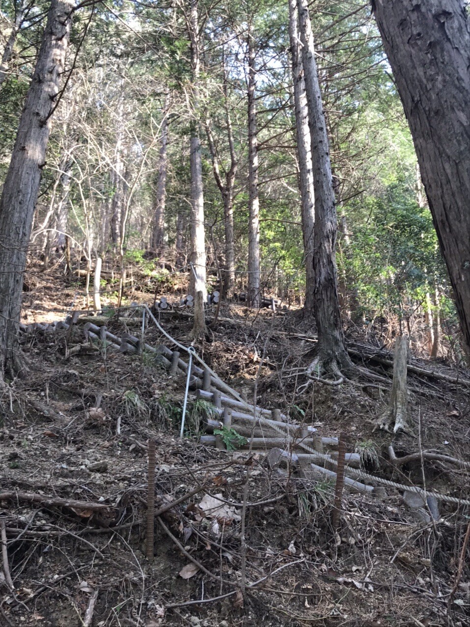 yuccoさんの投稿したフィールドメモ | YAMAP / ヤマップ