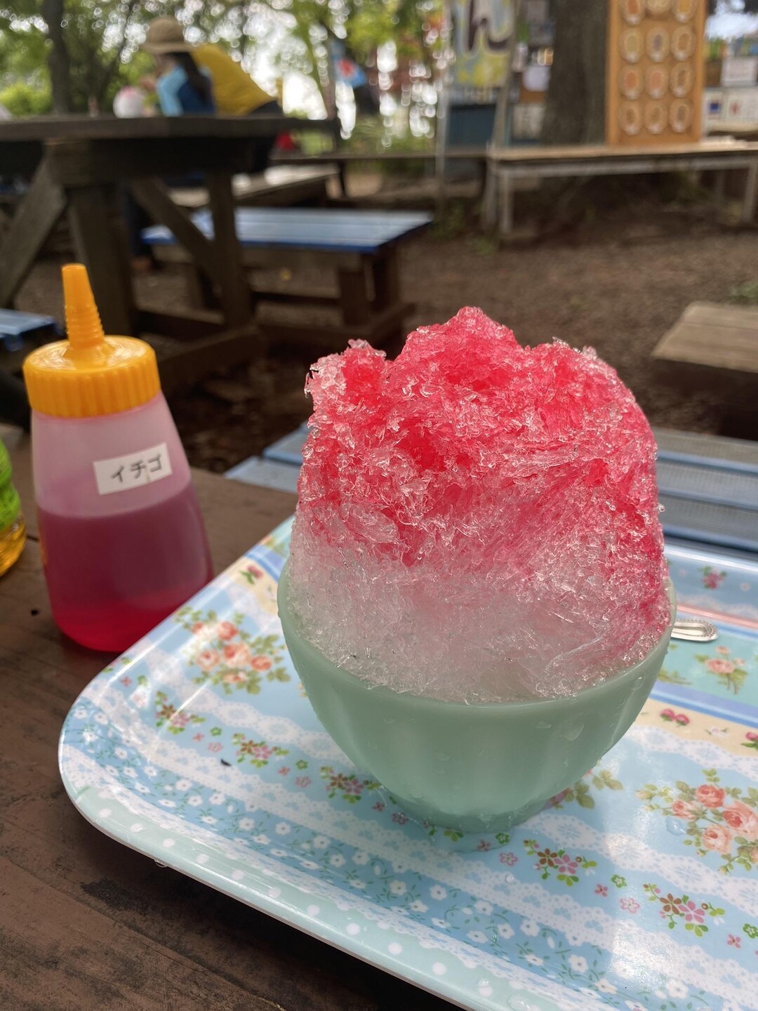 陣馬山・南郷山・富士小屋山・赤岩山・景信山・城山（小仏城山）・高尾山・稲荷山 / Eccoさんの高尾山・陣馬山・景信山の活動データ | YAMAP / ヤマップ