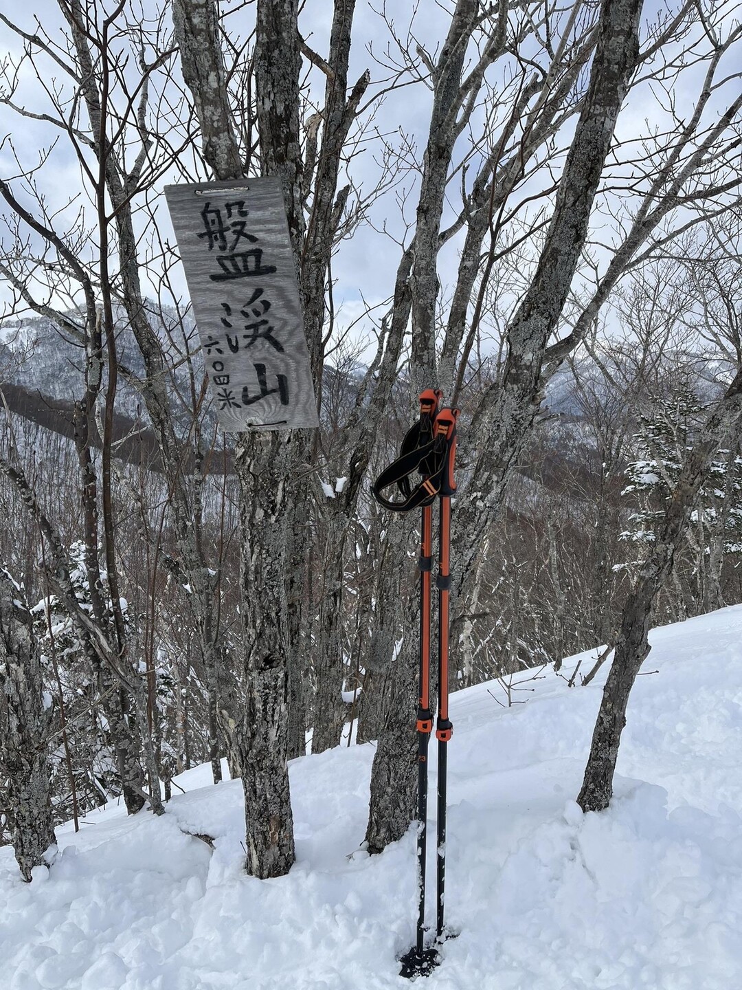 盤渓山 スノーシューと尻ボー / waaさんの砥石山・青山の活動データ | YAMAP / ヤマップ