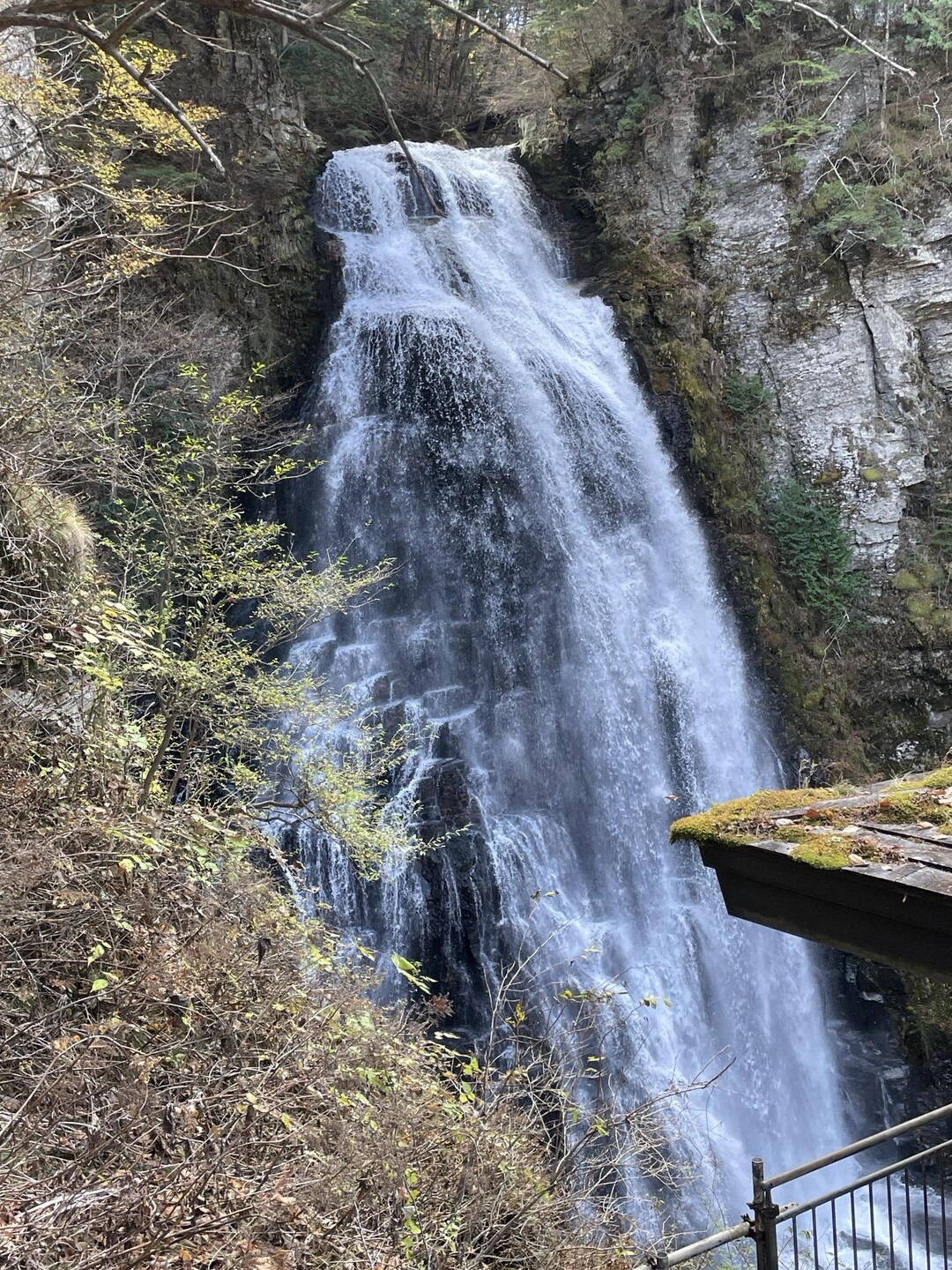 ウォーキング-2024-11-18 / Kuさんの松本市の活動データ | YAMAP / ヤマップ