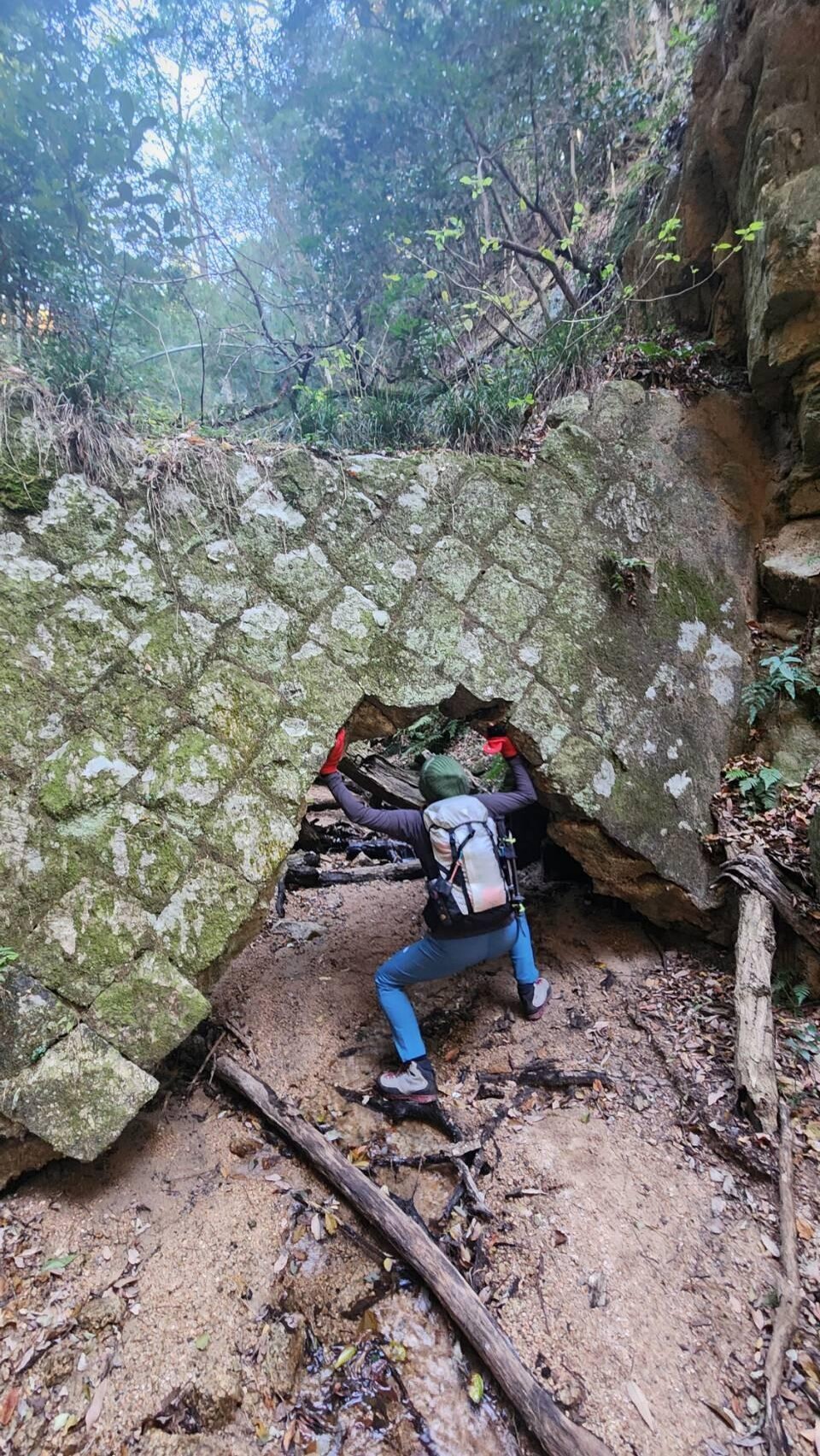 童心に戻りブランコ遊びの後は須磨アルプス... / ひでさん。さんのモーメント | YAMAP / ヤマップ