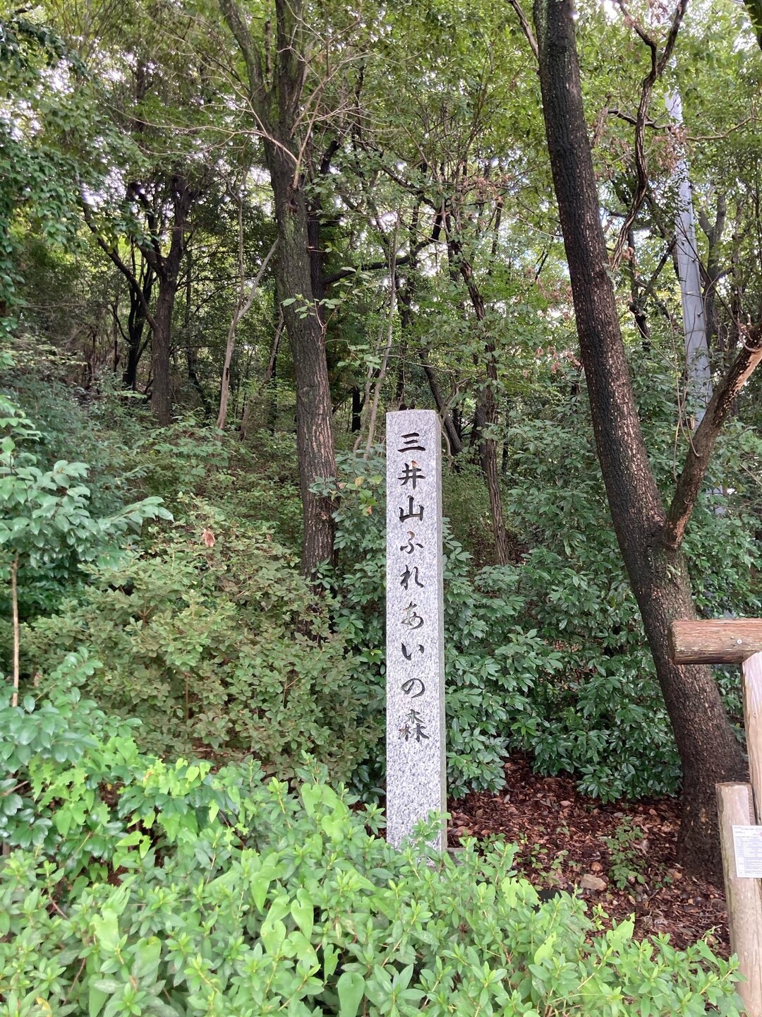 三井山 / doalaさんの三井山の活動データ | YAMAP / ヤマップ