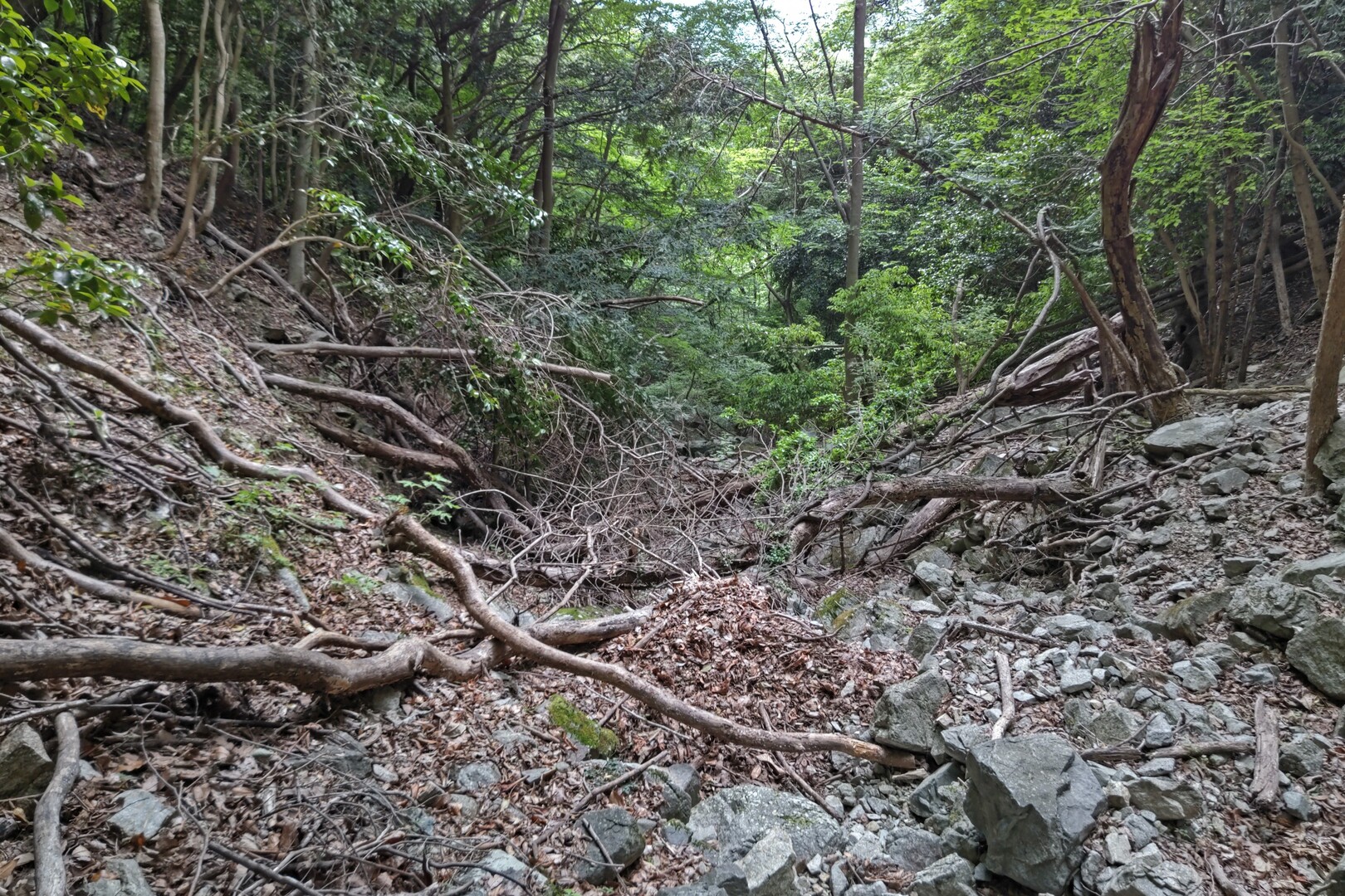 keijiさんの投稿したフィールドメモ | YAMAP / ヤマップ