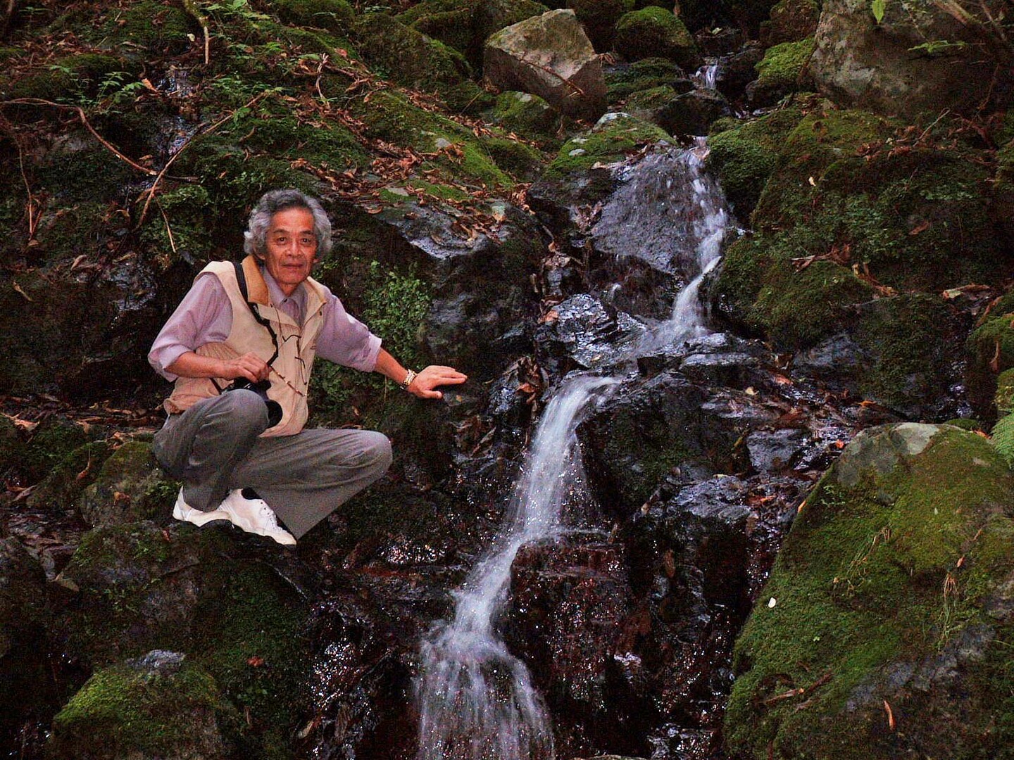 peaceのページ | YAMAP / ヤマップ