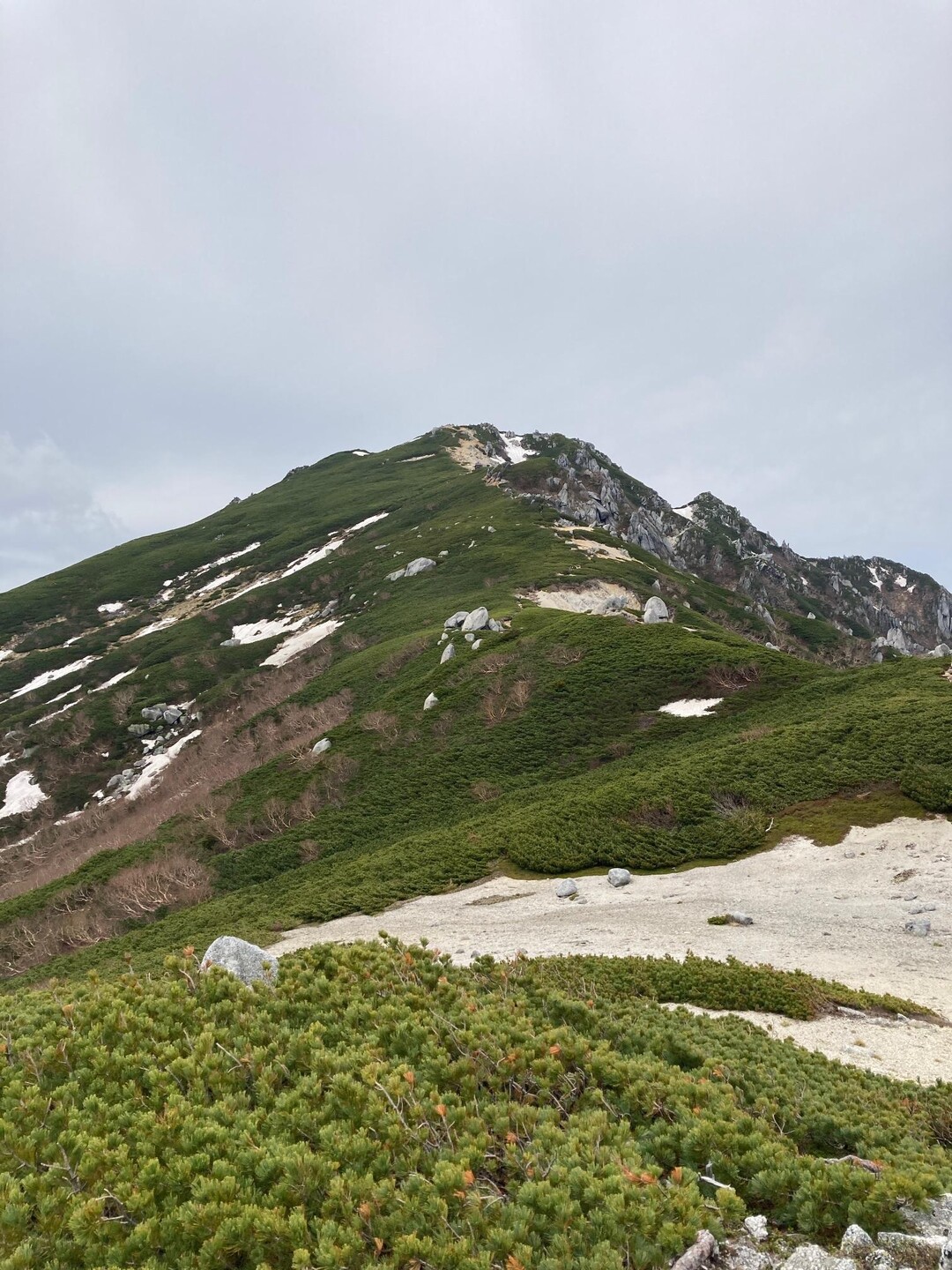 空木岳〜中央アルプスの女王〜 / jazzさんの木曽駒ヶ岳・空木岳・越百山の活動データ | YAMAP / ヤマップ