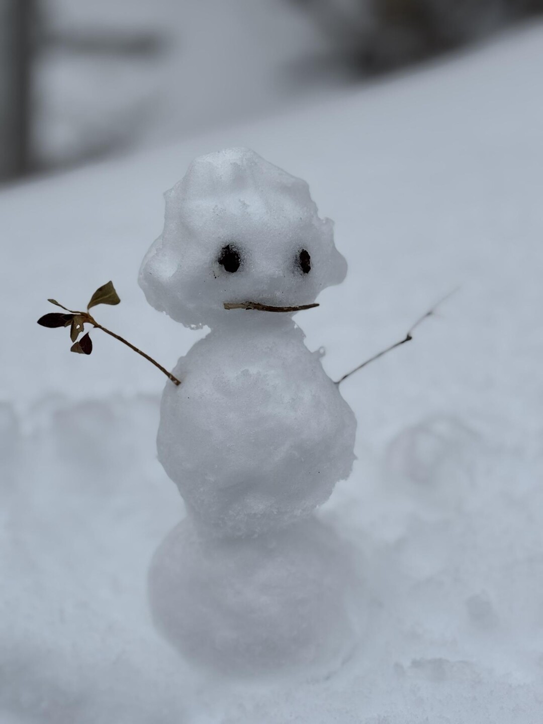 五葉山 / お菓子売りのてくてく みちのく店さんの五葉山・愛染山の活動データ | YAMAP / ヤマップ
