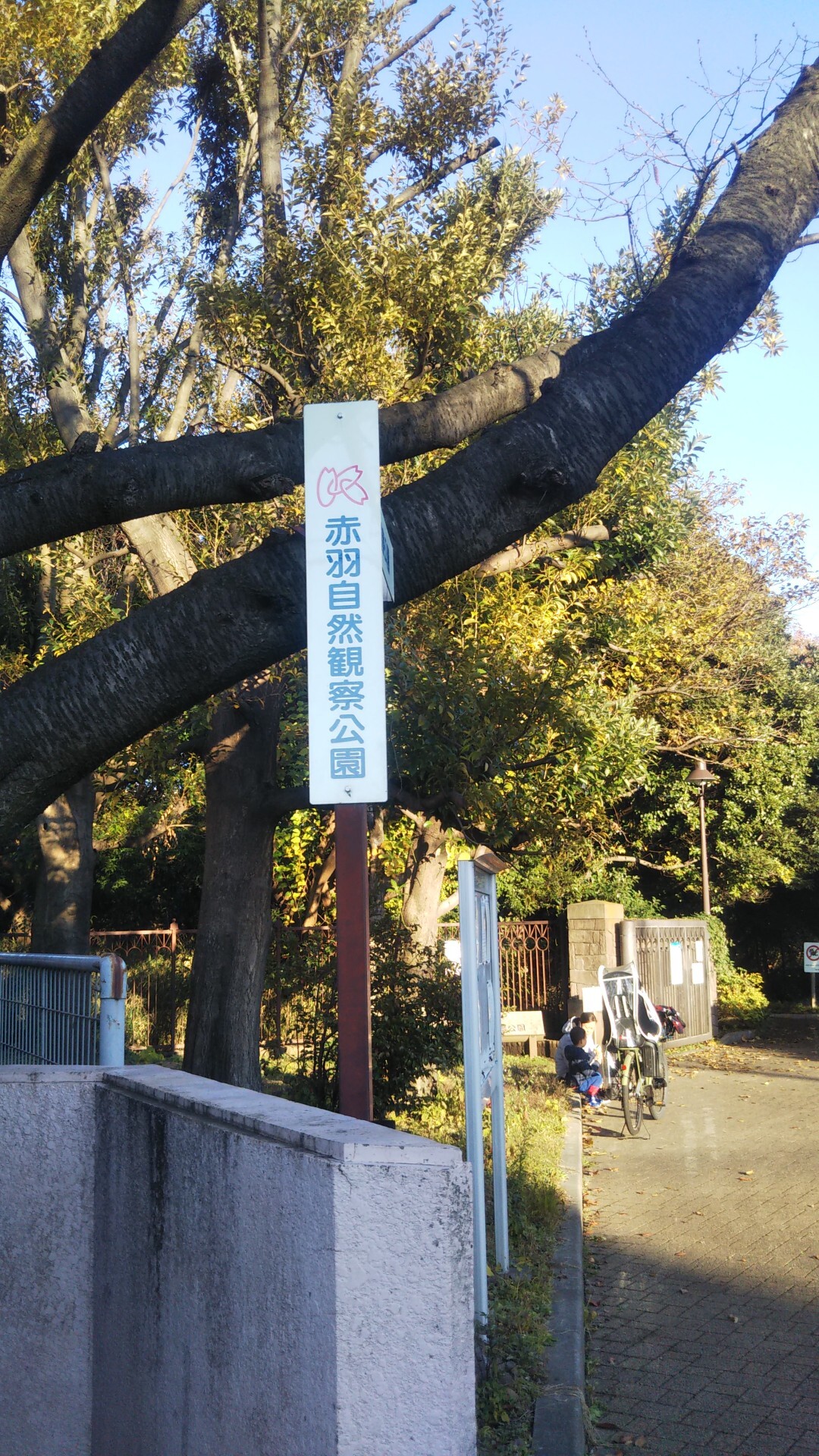 赤羽自然観察公園 / ピークハンターCanたろう。さんのモーメント | YAMAP / ヤマップ