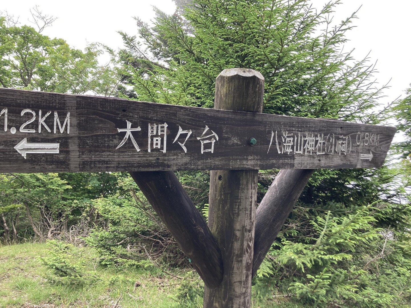 高原山・釈迦ヶ岳・鶏頂山-2023-07-05 / min maさんの高原山・釈迦ヶ岳・鶏頂山の活動データ | YAMAP / ヤマップ