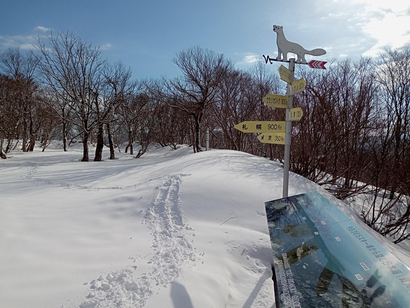 鉢伏山（敦賀側から） / MILKさんの鉢伏山の活動データ | YAMAP / ヤマップ
