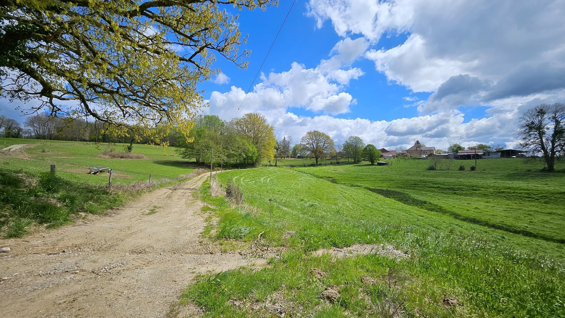 ヴェズレーの道14日目 Benevent l‘Abbaye → Les Billanges 29km / 旅する巡礼者さんのウォーキングの活動データ | YAMAP / ヤマップ