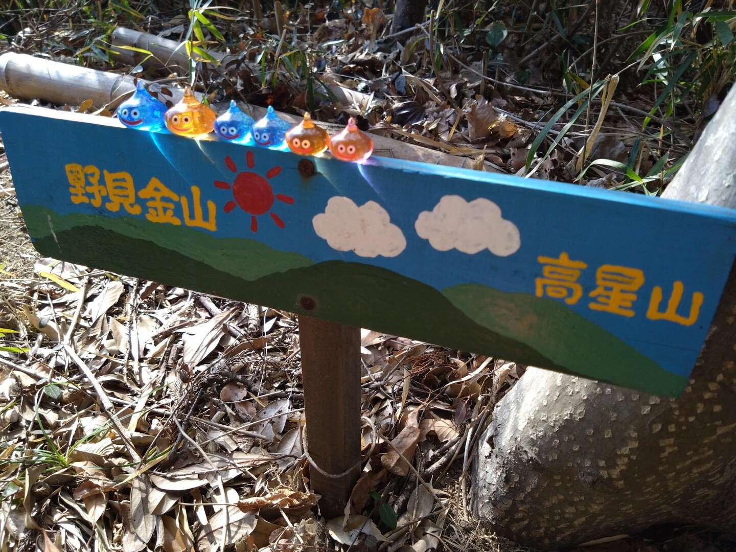 空見山 / moneさんの笠森グリーンルートの活動データ | YAMAP / ヤマップ