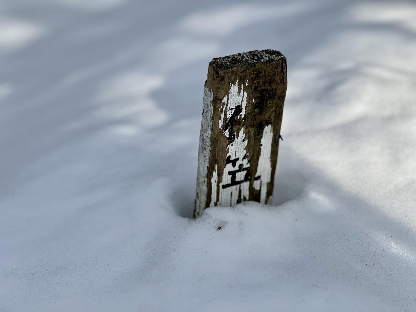 伊笠山⛰️ 〜徳島の250山〜 / yukiさんの阿波市の活動データ | YAMAP / ヤマップ