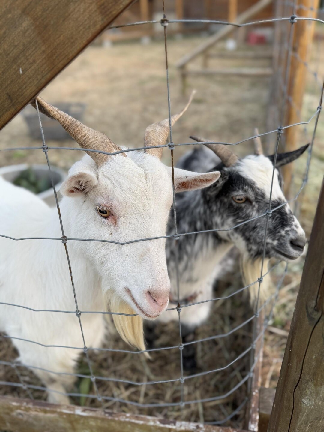凪ノ谷でキャンプ🏕️ / masayanさんのモーメント | YAMAP / ヤマップ