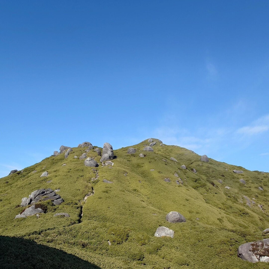 洋上のアルプス 宮之浦岳へ(紀元杉〜白谷雲水峡) / morishio💈さんの屋久島・宮之浦岳の活動データ | YAMAP / ヤマップ
