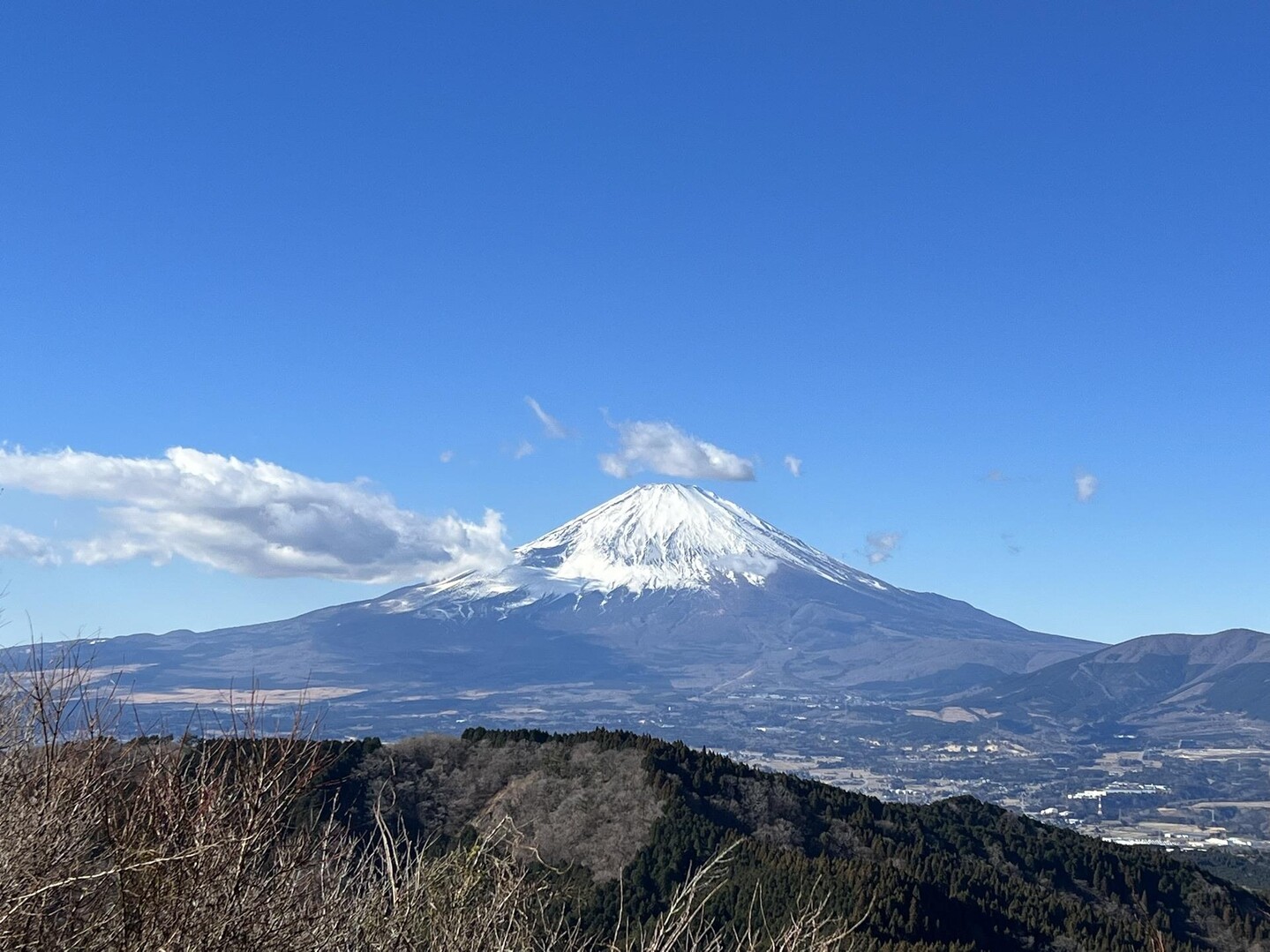 矢倉岳 / GENさんの矢倉岳の活動データ | YAMAP / ヤマップ
