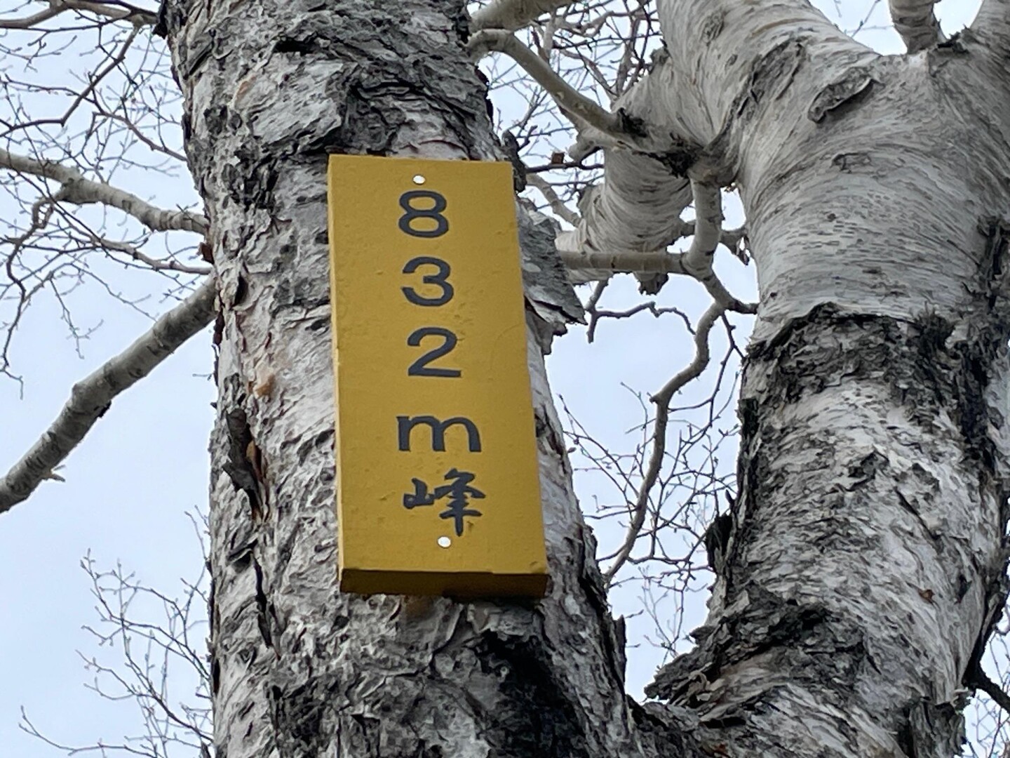 832m峰(ニセコ)と駅伝の刺激入れ / 島ちゃん(島.RC)🌈さんのニセコアンヌプリ・イワオヌプリ・チセヌプリの活動データ | YAMAP / ヤマップ