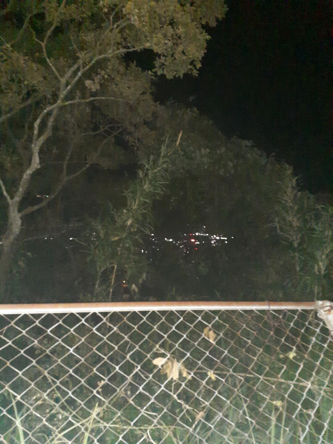 夜景を見に魚見岳 / CASIOPEAさんの魚見岳の活動データ | YAMAP / ヤマップ