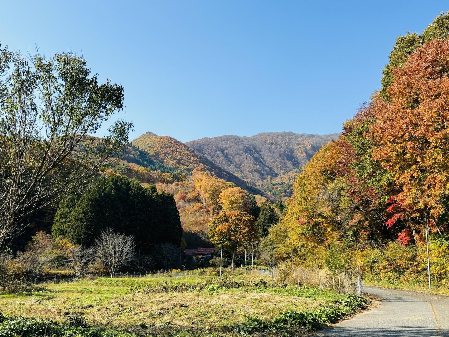 蛤山 長老湖 / cinnamonさんの蛤山の活動データ | YAMAP / ヤマップ