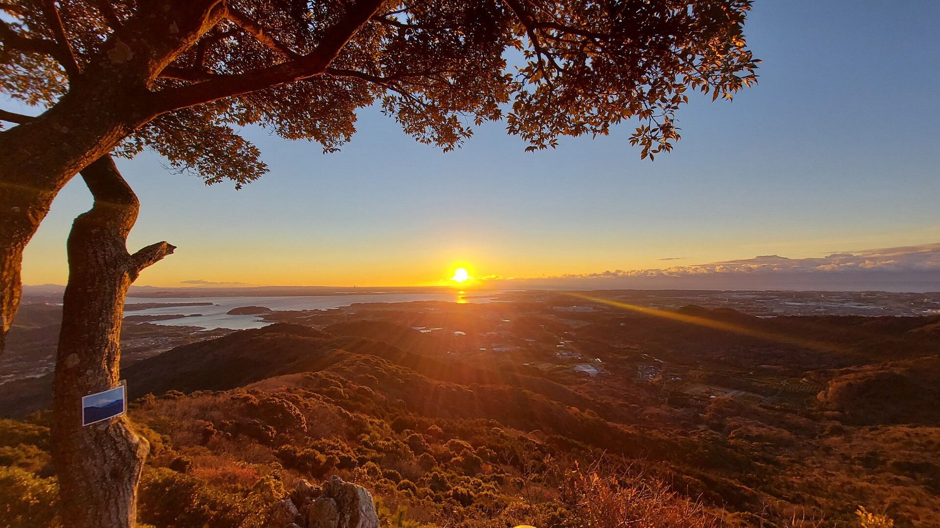 謹賀新年 パラダイスで初日の出 / piropiroさんの坊ヶ峰・石巻山・神石山・葦毛湿原の活動データ | YAMAP / ヤマップ