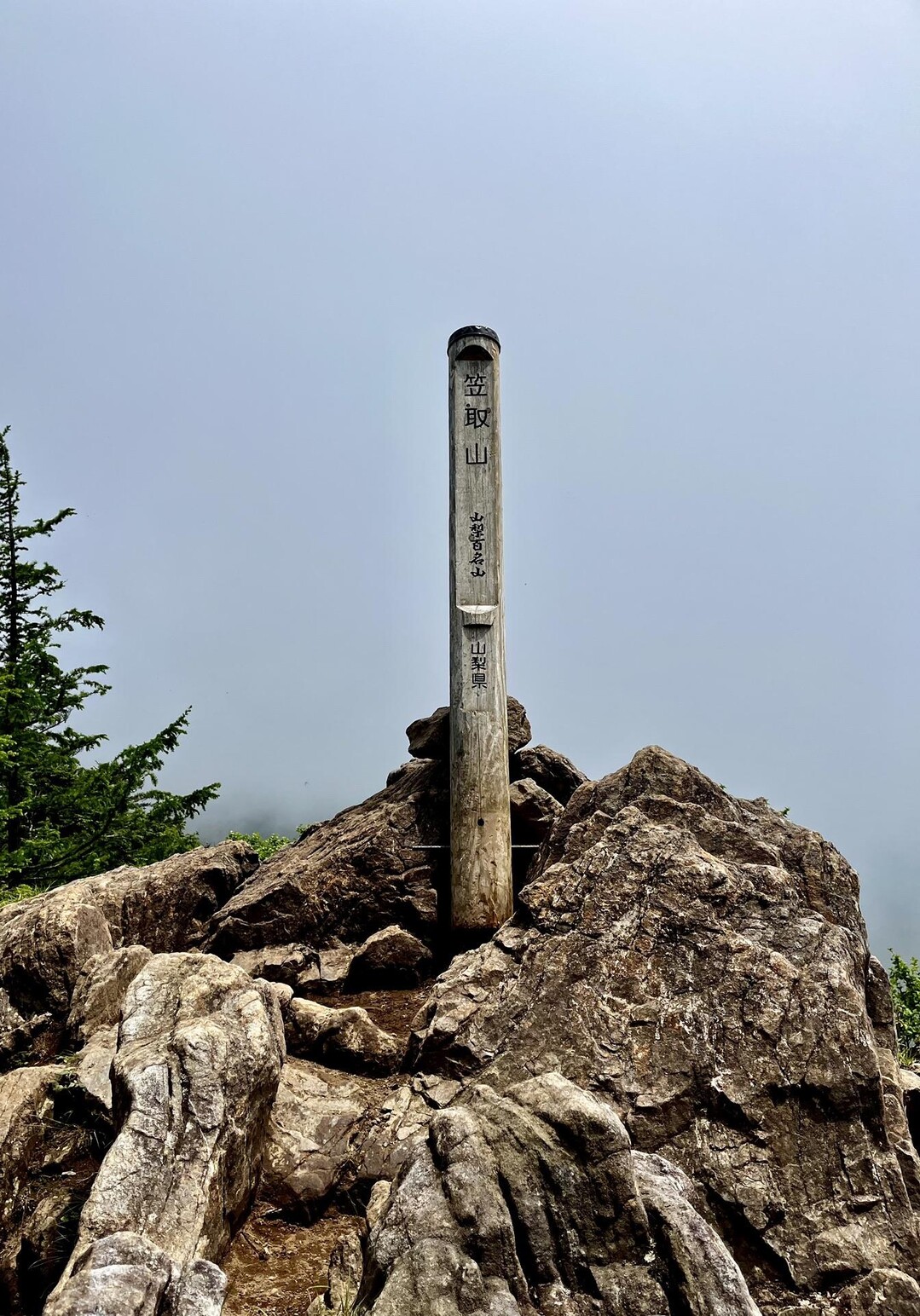新地平バス停〜笠取山ピストン / sk.jpさんの和名倉山・笠取山・東仙波の活動データ | YAMAP / ヤマップ