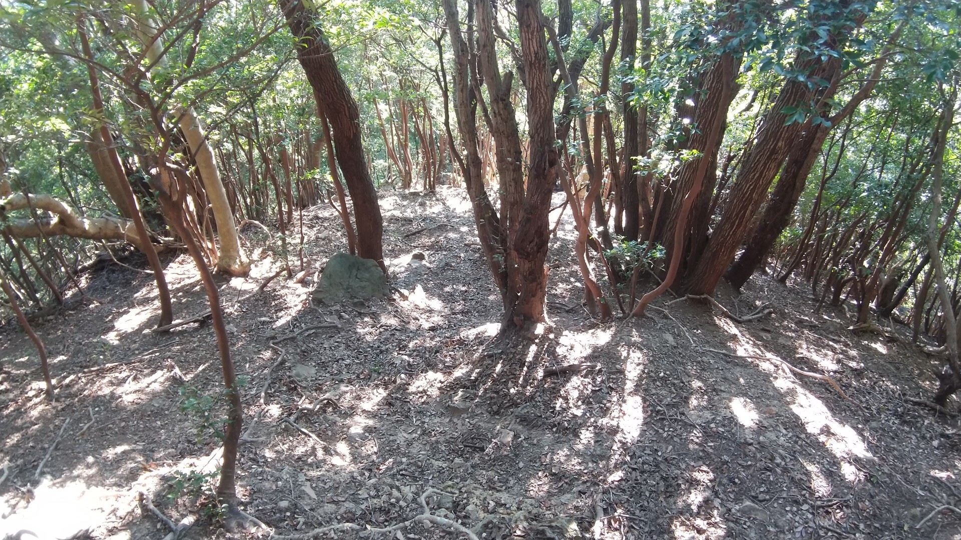 koiさんの投稿したフィールドメモ | YAMAP / ヤマップ