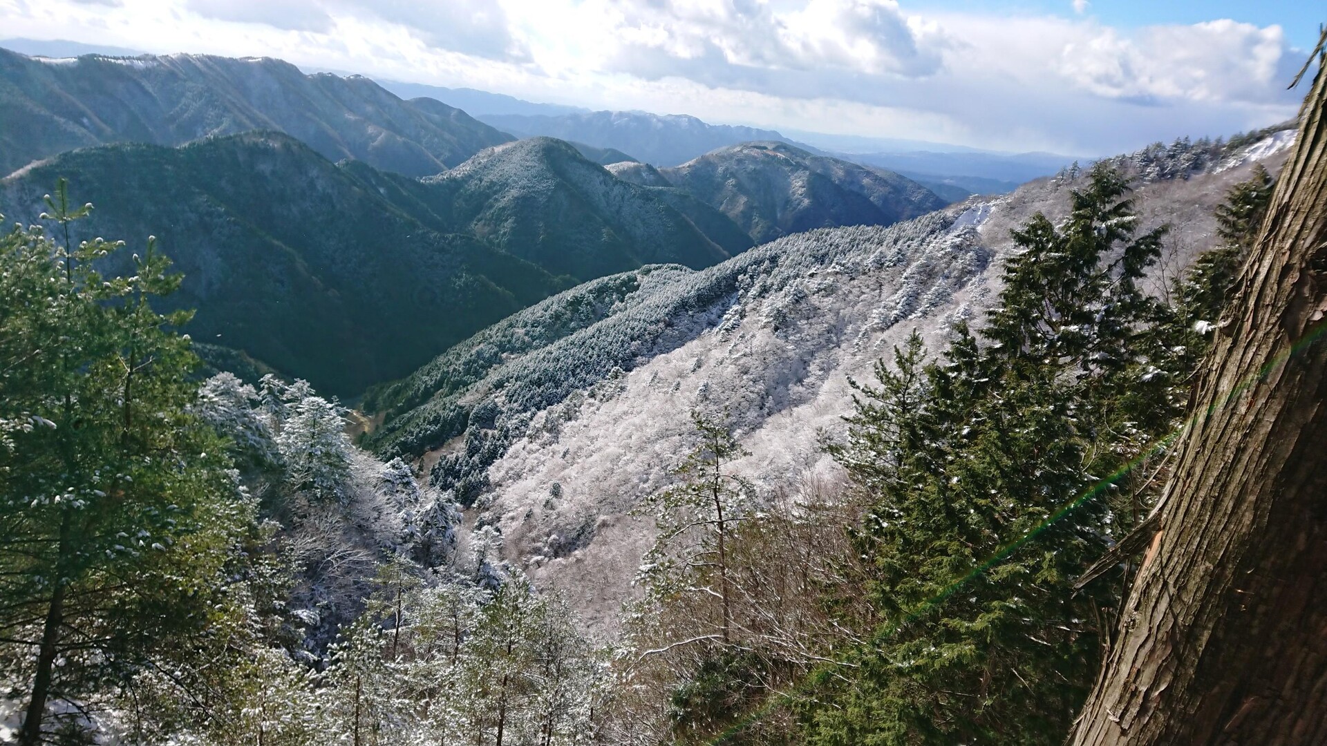 能登ヶ峰・横谷山・サクラグチと雪山ハイク / san-sanさんの綿向山の活動データ | YAMAP / ヤマップ