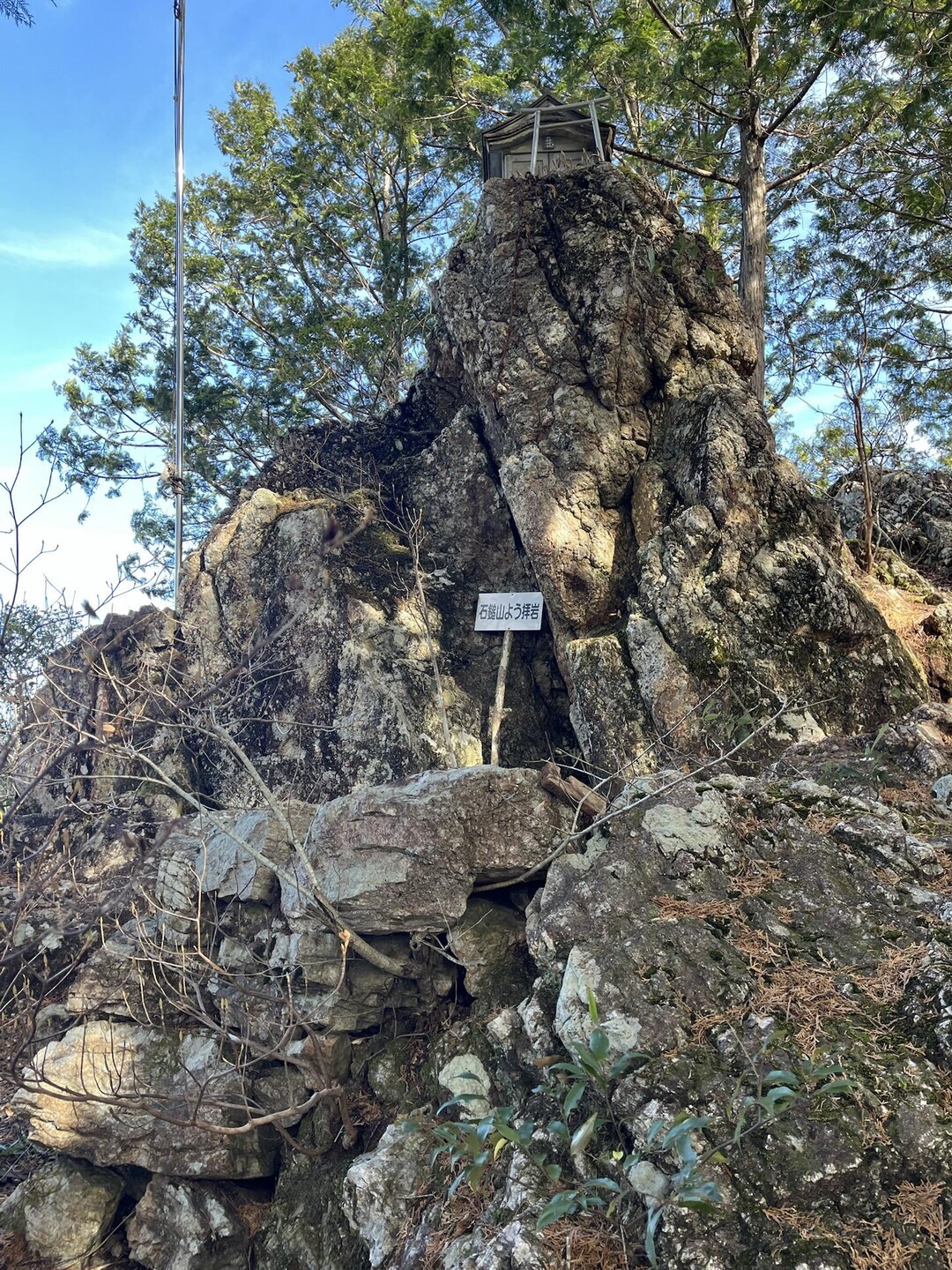 大滝山（大獄山） / tmkさんの大滝山（大獄山）の活動データ | YAMAP / ヤマップ