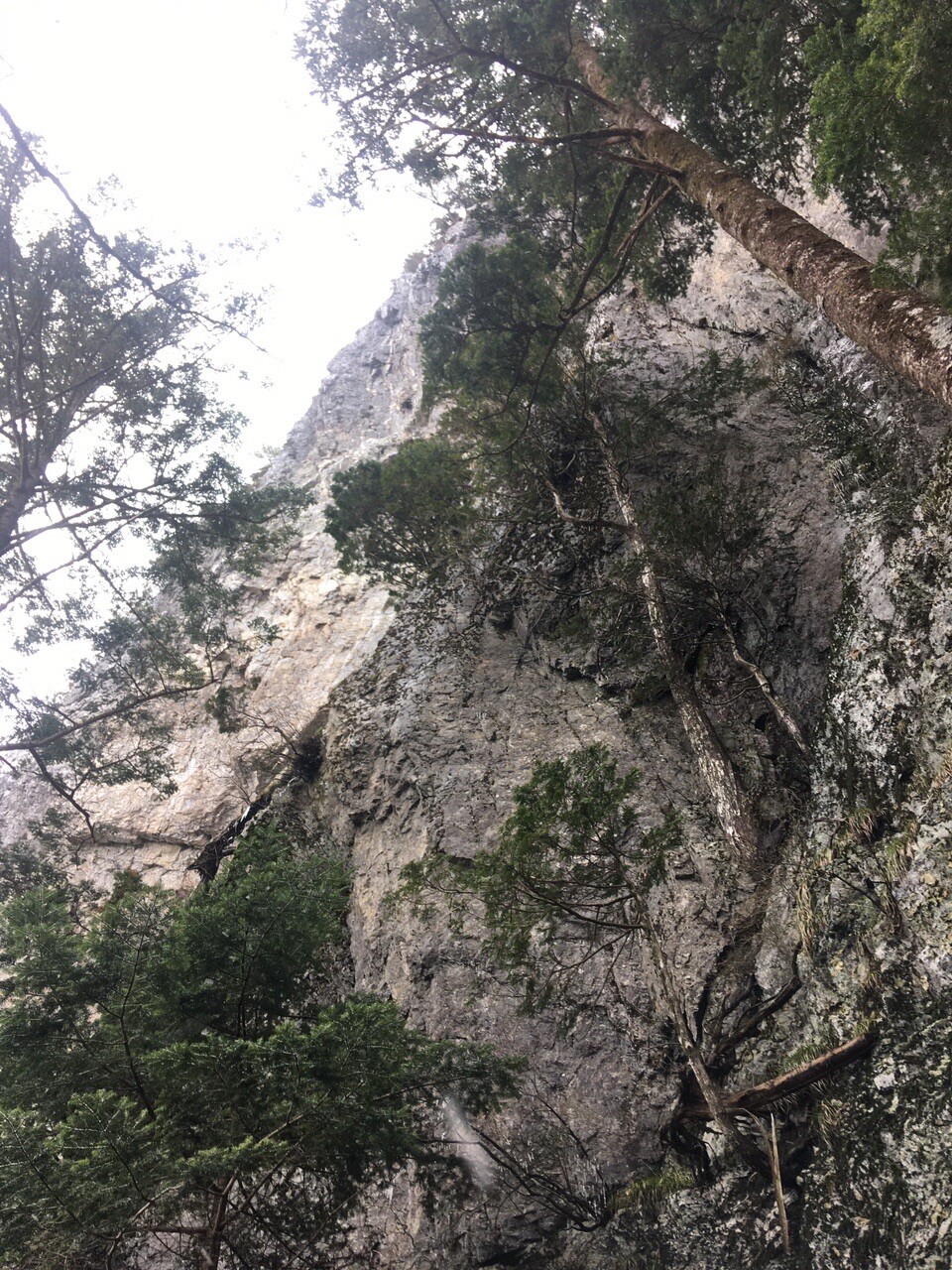 笙の窟 / Choroさんの登山の活動データ | YAMAP / ヤマップ