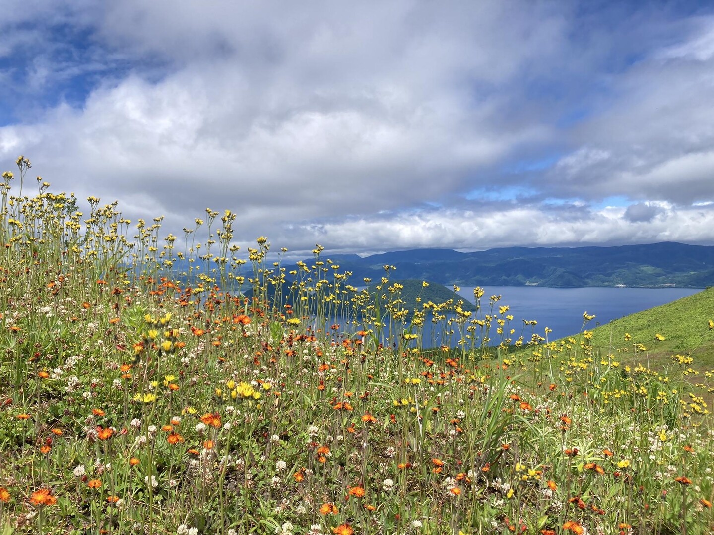 四十三山（明治新山）・大有珠(有珠山)・オガリ山・有珠新山・北屏風山・西山 / yuyu さんの有珠山の活動データ | YAMAP / ヤマップ