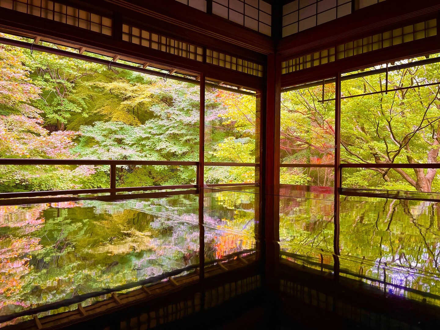 延暦寺〜比叡山〜瑠璃光院 / Sadaさんの比叡山・横高山・梶山の活動データ | YAMAP / ヤマップ