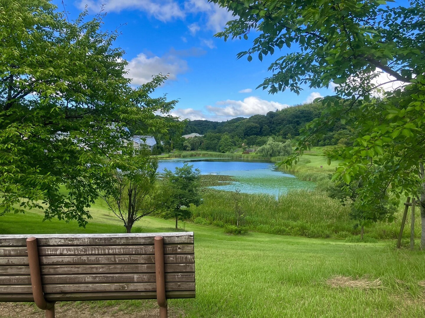 とある筋疲労🎵 ︎県立植物園 / Naluさんの菩提寺山・高立山・護摩堂山の活動データ | YAMAP / ヤマップ