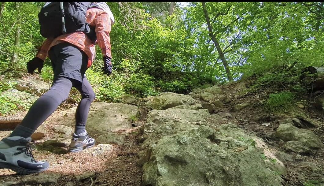 太郎山から虚空蔵山へ縦走するはずが‥‥ / 歩ん婆（ayunba）さんの太郎山の活動日記 | YAMAP / ヤマップ