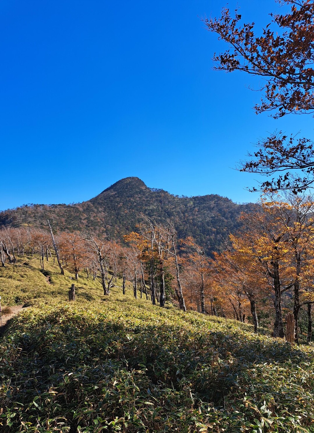 DEEPブルー☀️釈迦ヶ岳 / ヤマナルドさんのウォーキングの活動データ | YAMAP / ヤマップ