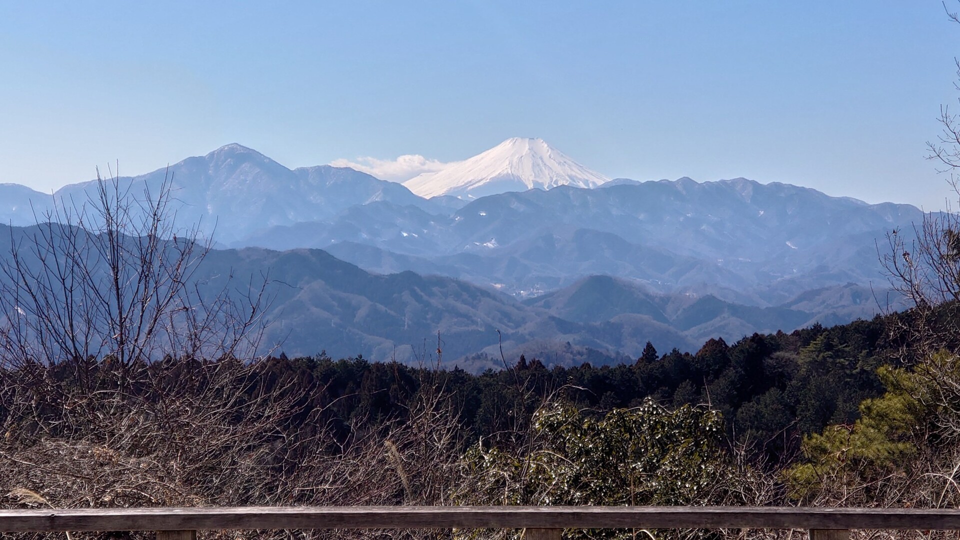 高尾山・城山(小仏城山)・神変山 / ami_nya さんの高尾山・陣馬山・景信山の活動データ | YAMAP / ヤマップ