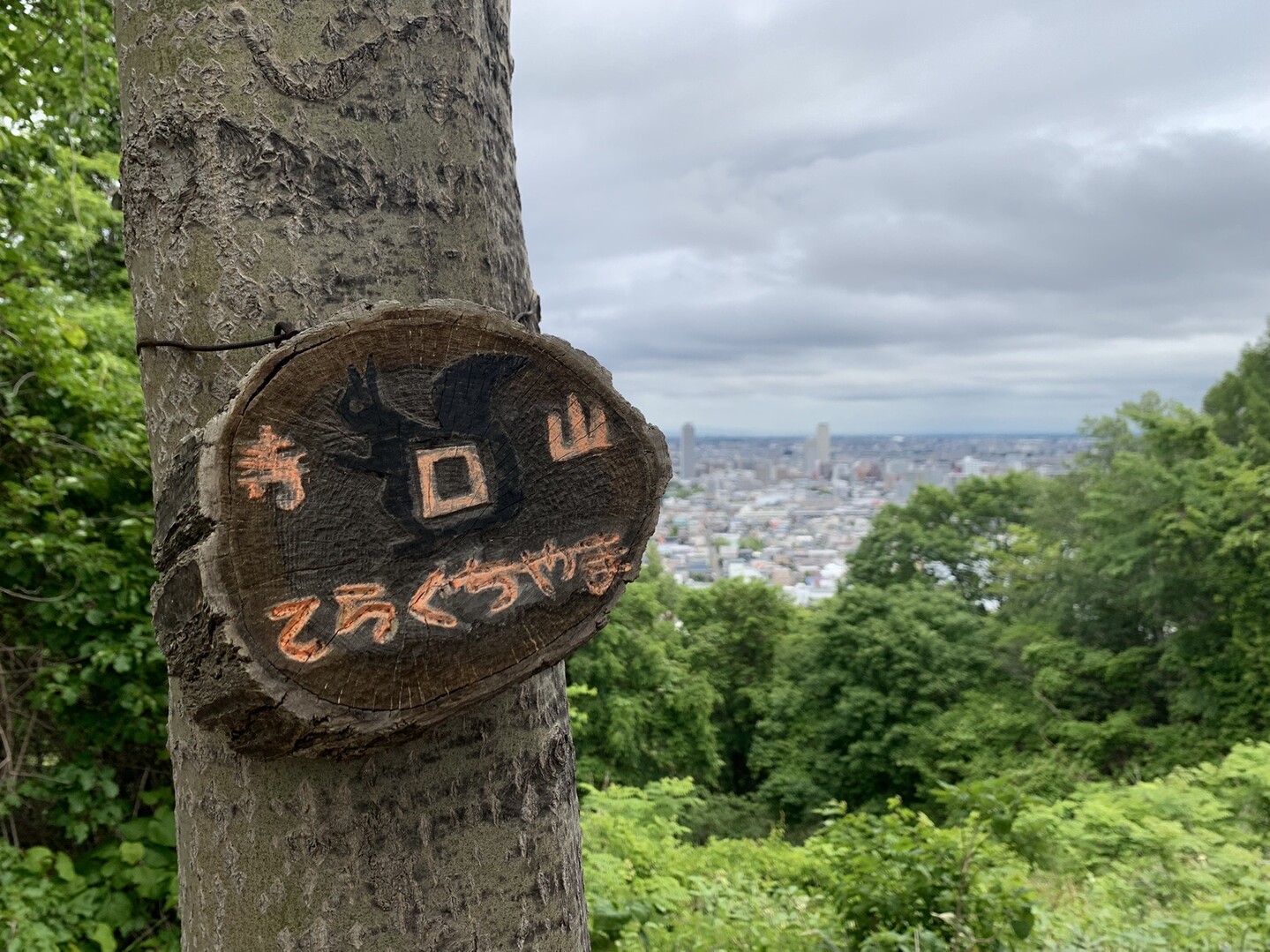 ⛰寺口山/赤坂山 🔖140m 🏷20... / haさんのモーメント | YAMAP / ヤマップ