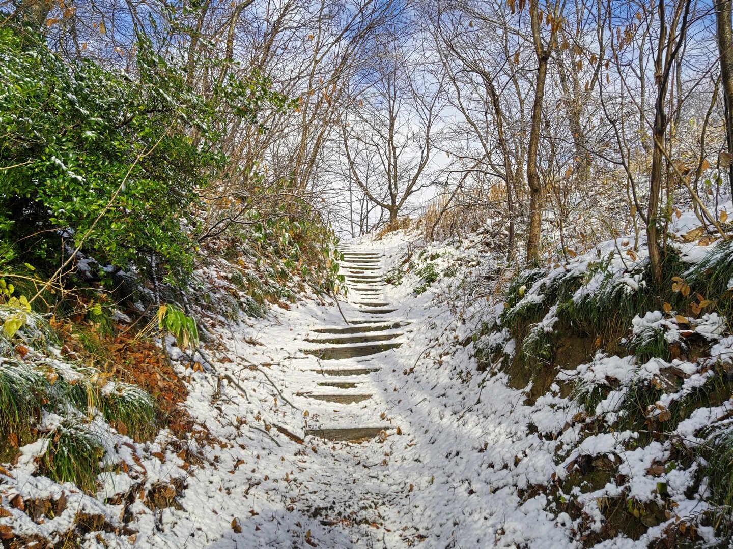 ウォーキング-2024-12-19 / ikkoさんのウォーキングの活動データ | YAMAP / ヤマップ