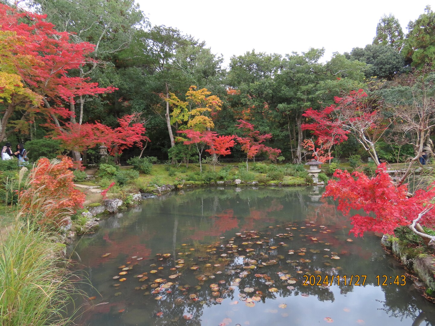 奈良の紅葉、依水園から若草山を徘徊 / terryさんの若草山・芳山・高円山の活動データ | YAMAP / ヤマップ