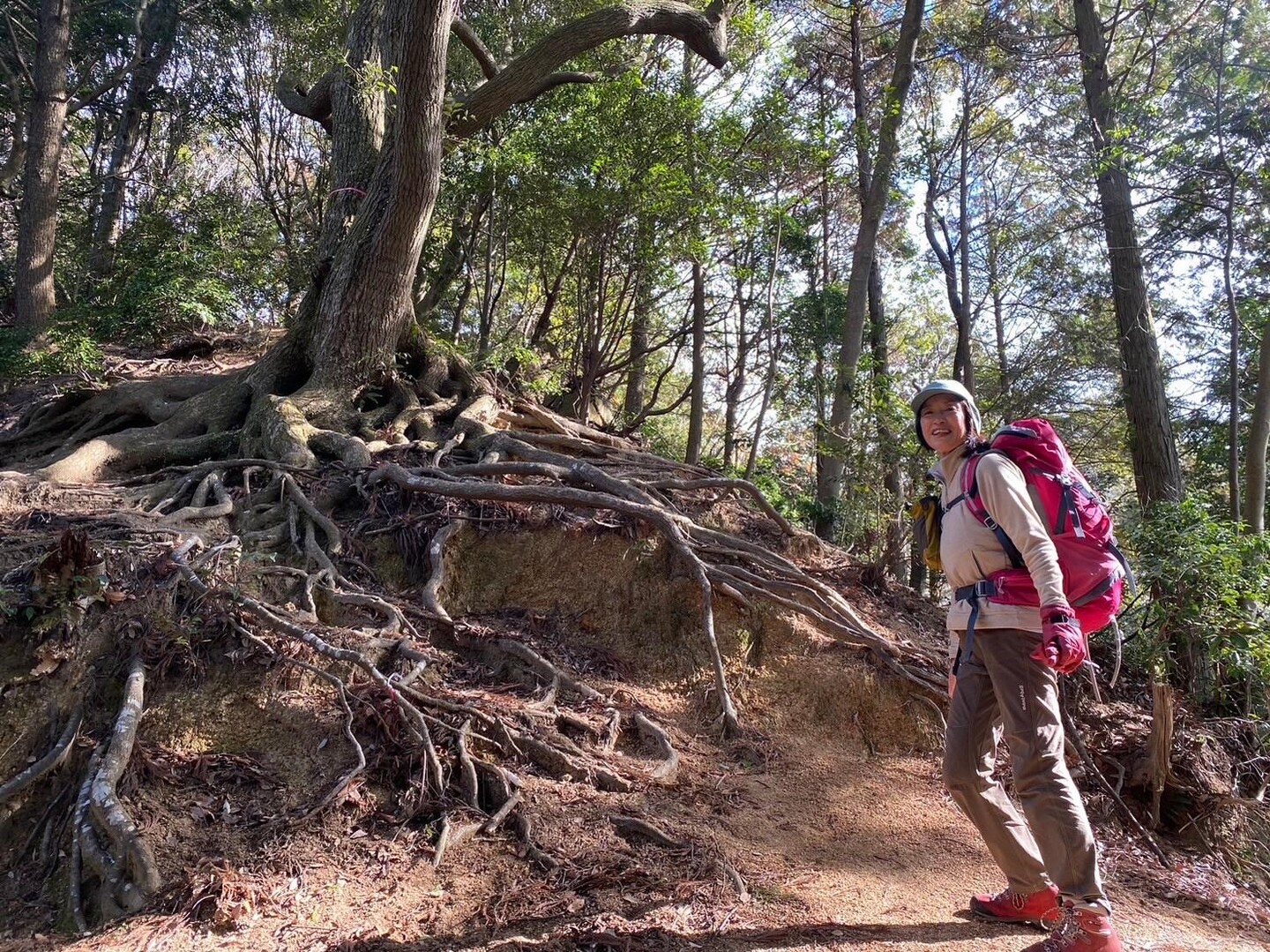 高雄山・再度山 / yasuko さんの六甲山・長峰山・摩耶山の活動データ | YAMAP / ヤマップ