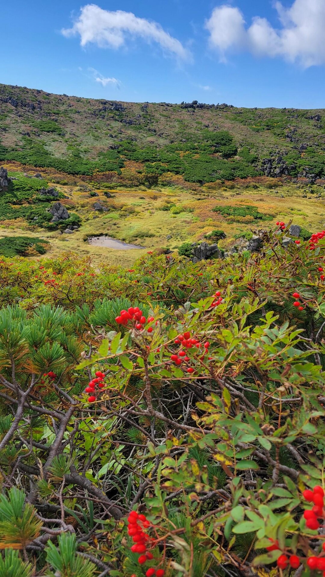 秋色のトムラウシ山 / のこさんのGT3 2の活動データ | YAMAP / ヤマップ