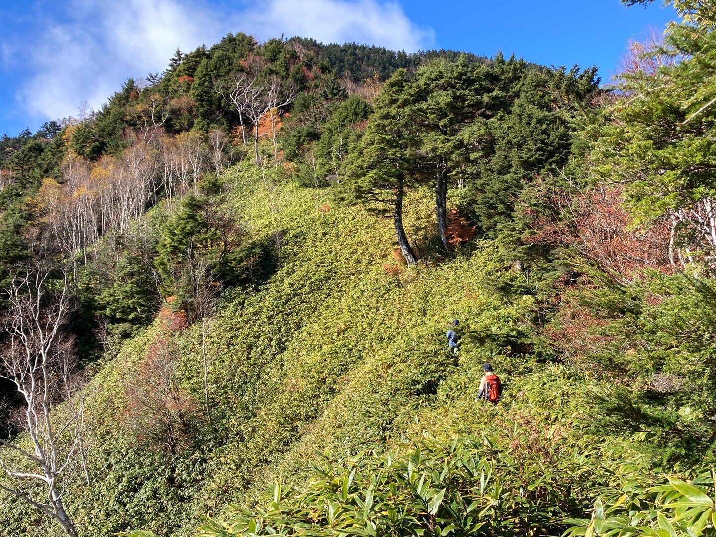 恵那山 / i.am _MATSU🌳さんの恵那山・大判山・神坂山の活動データ | YAMAP / ヤマップ